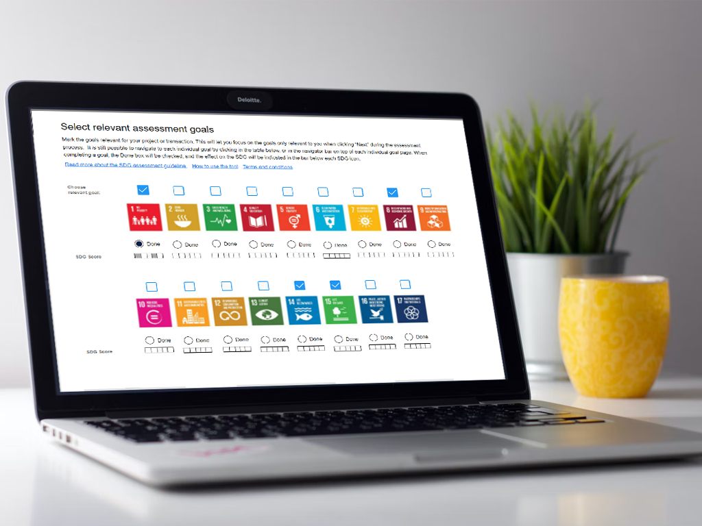 SDG Assessment Tool - help you identify potential impact | Eksfin